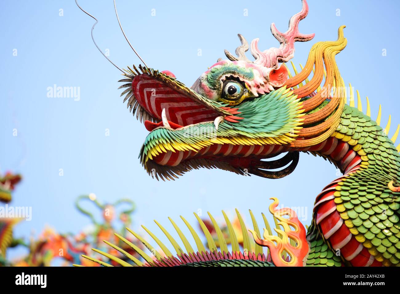 Asian temple dragon Stock Photo - Alamy