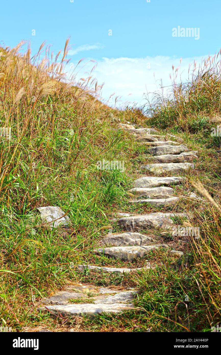 mountain path for hiking Stock Photo - Alamy