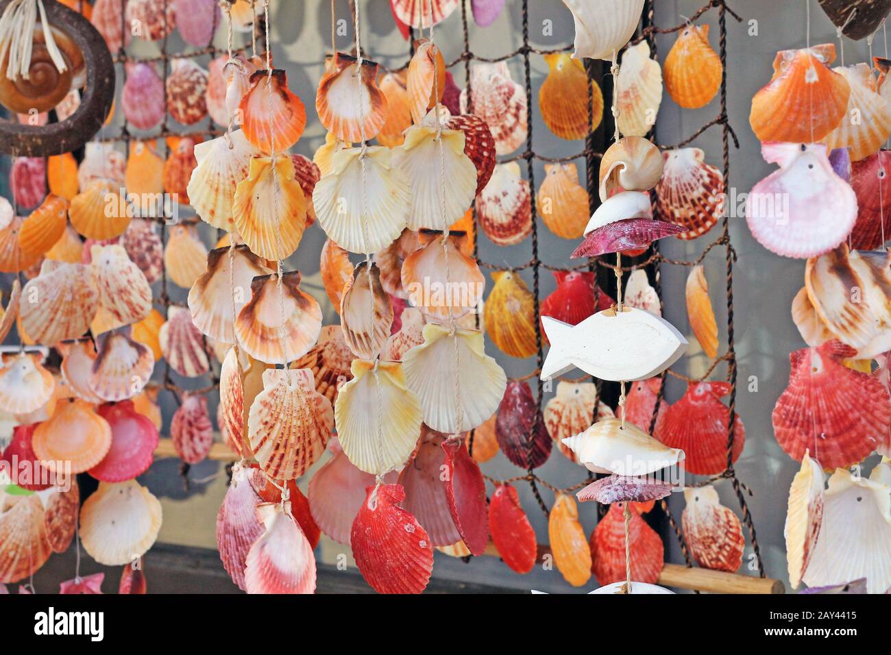 Net of shells hi-res stock photography and images - Alamy