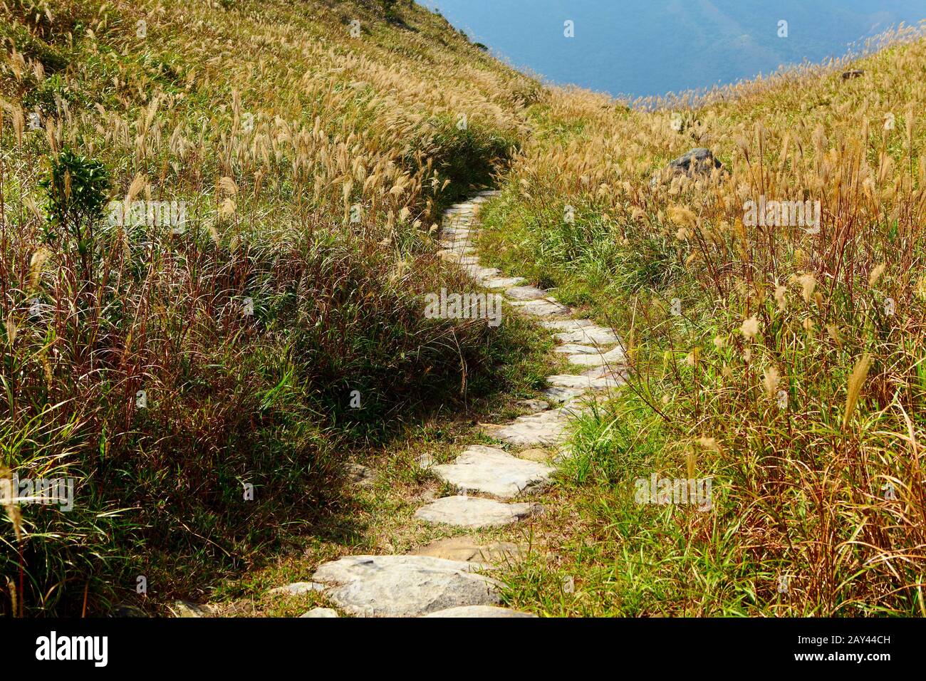 mountain path for hiking Stock Photo - Alamy