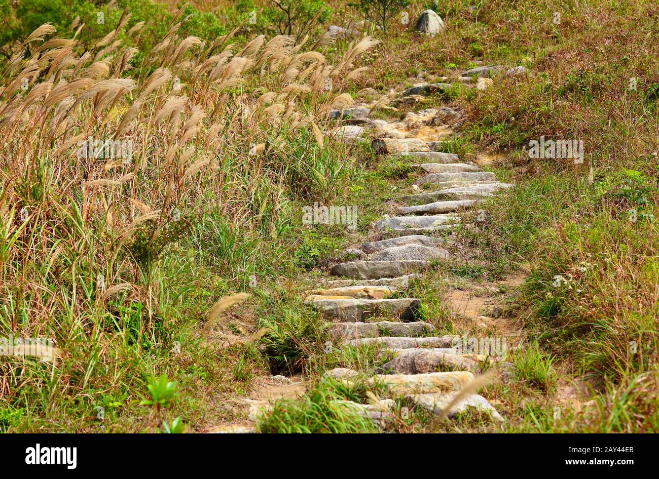 mountain path for hiking Stock Photo - Alamy