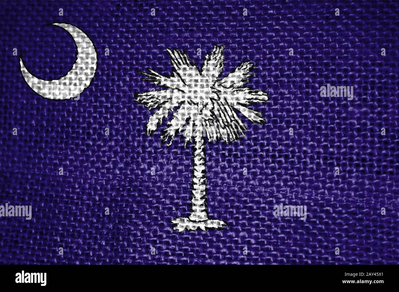 south carolina state flag Stock Photo - Alamy