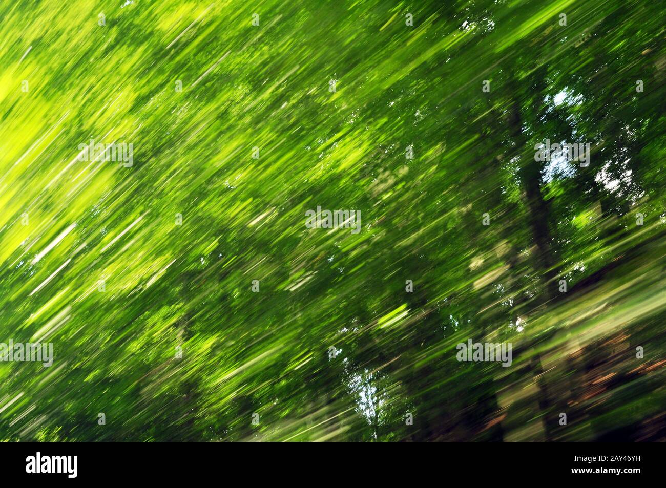 Distorted nature hi-res stock photography and images - Alamy