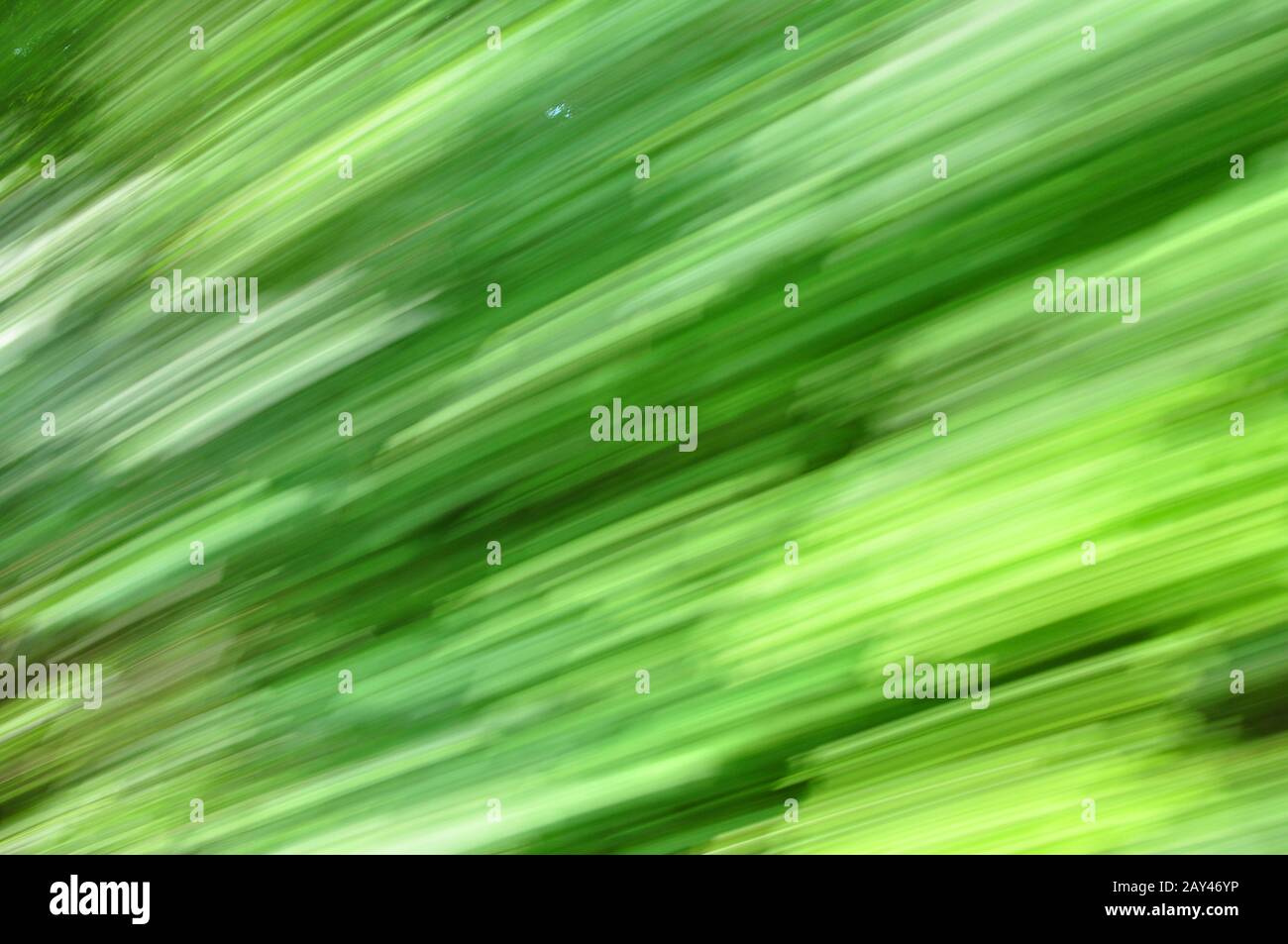 Distorted nature hi-res stock photography and images - Alamy