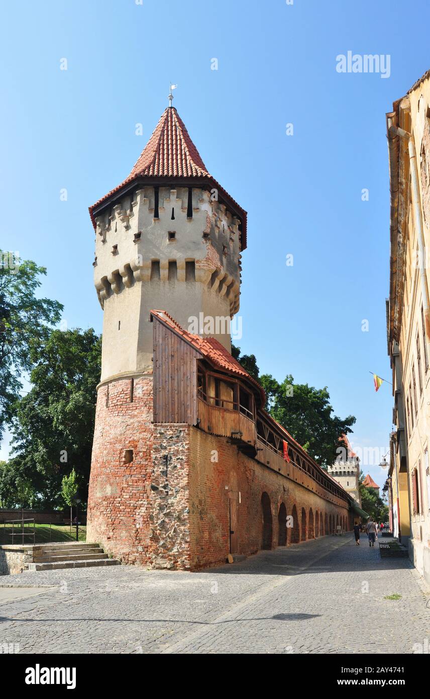 Medieval carpenters hi-res stock photography and images - Alamy