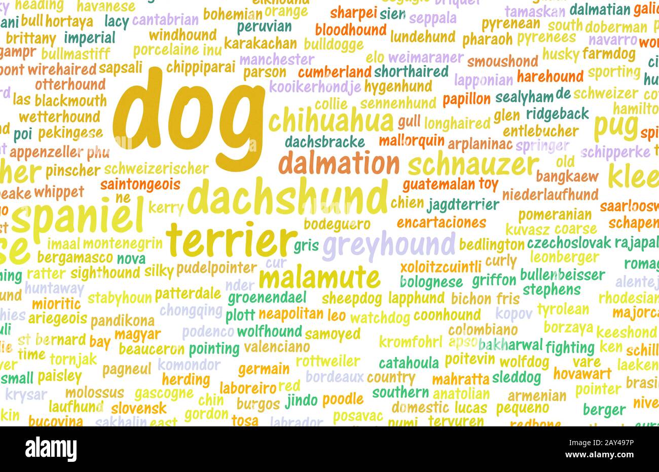 All Types of Dogs Stock Photo - Alamy