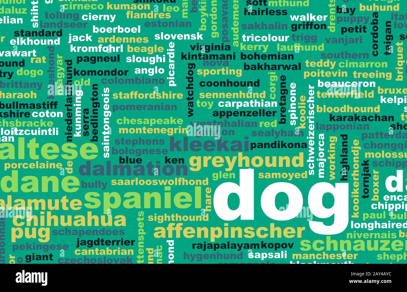 All Types of Dogs Stock Photo - Alamy