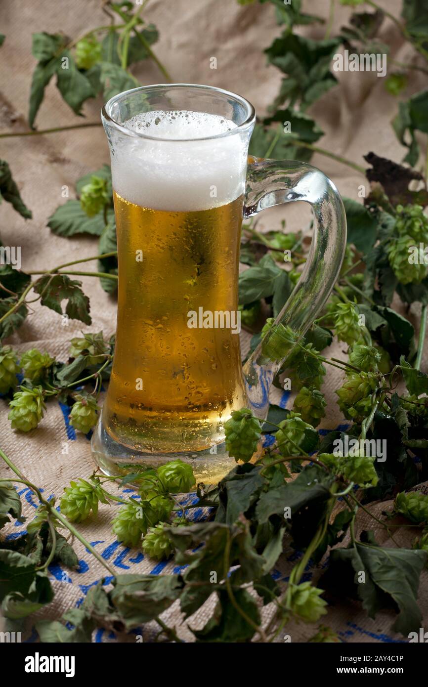 Beer in a jug on hops Stock Photo - Alamy