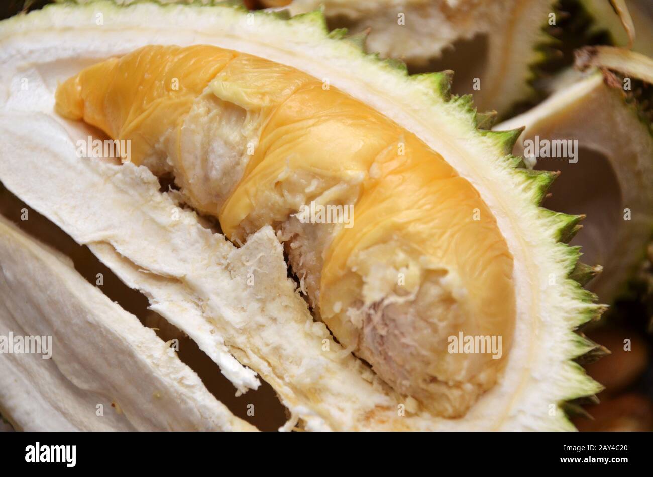 Durian Spikes High Resolution Stock Photography and Images - Alamy