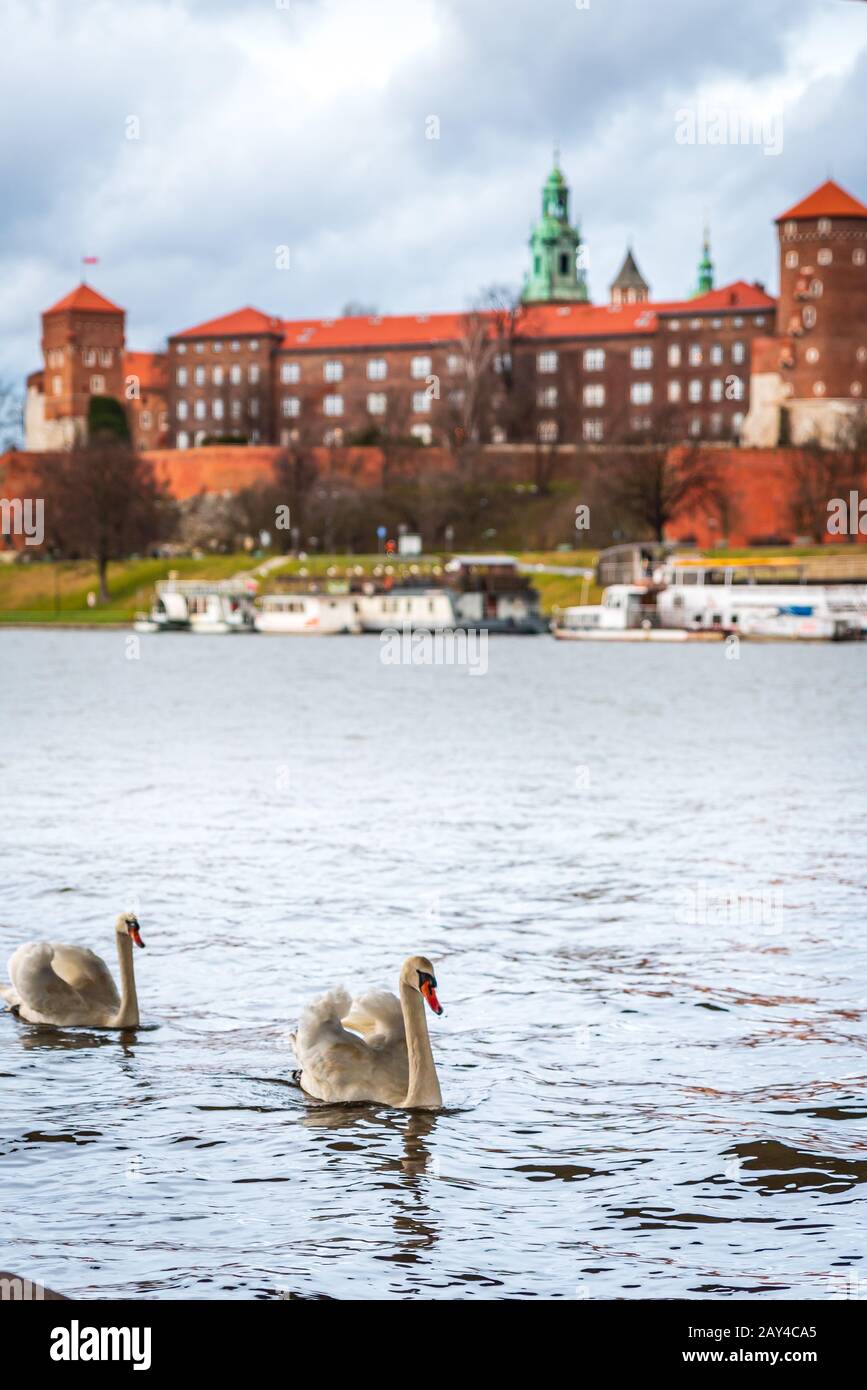 Royal castle wawel fortress hi-res stock photography and images - Alamy