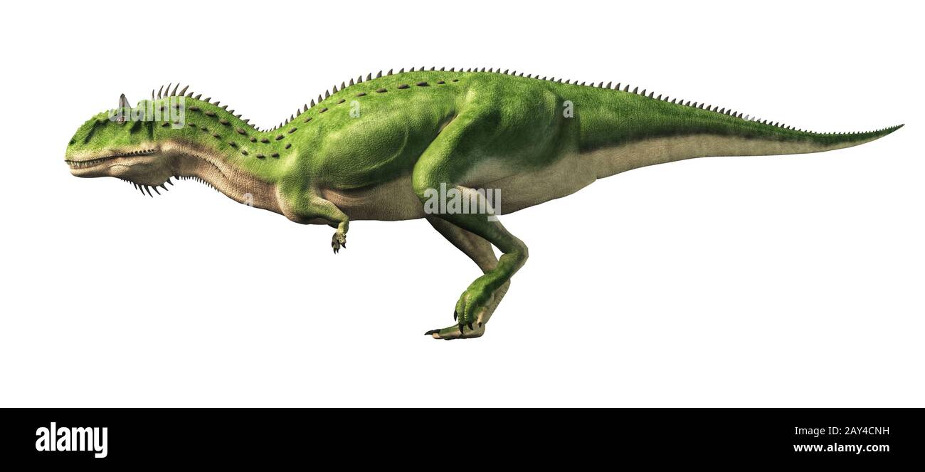 Majungasaurus was a carnivorous theropod dinosaur that lived in ...