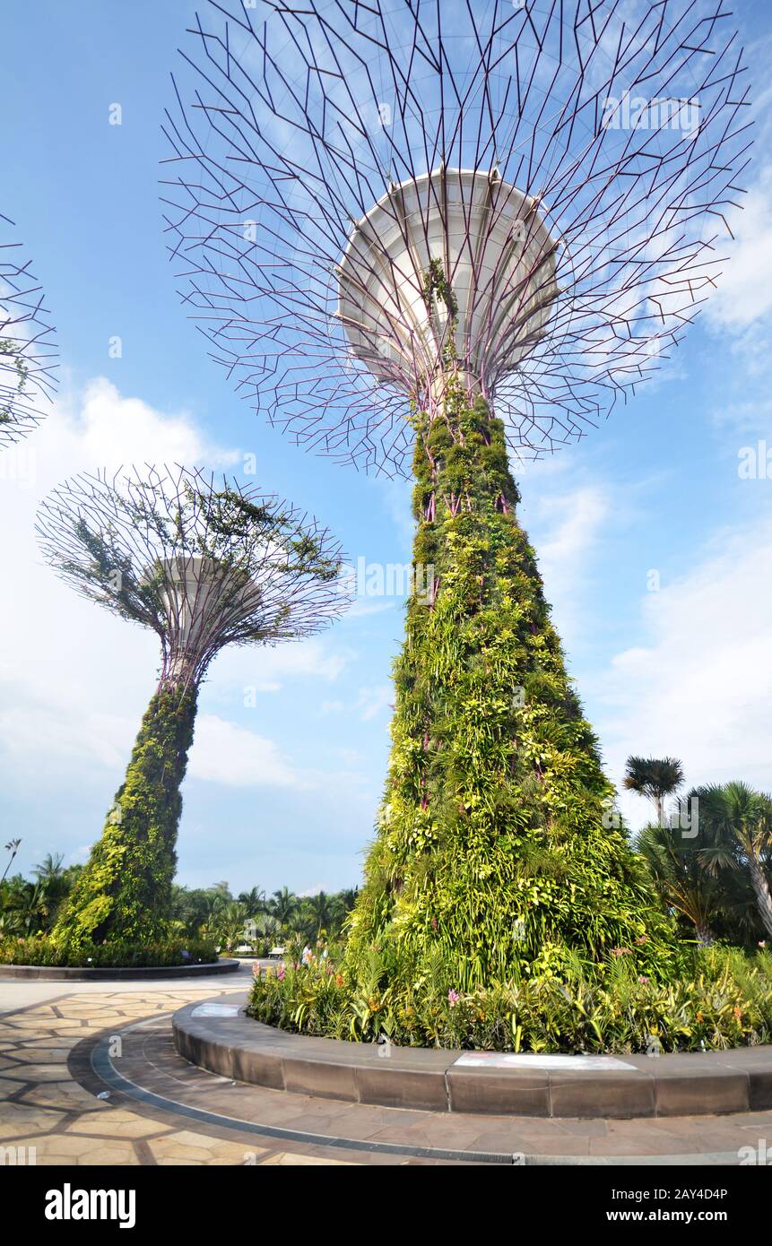 Super-tree in Garden by the bay Stock Photo - Alamy