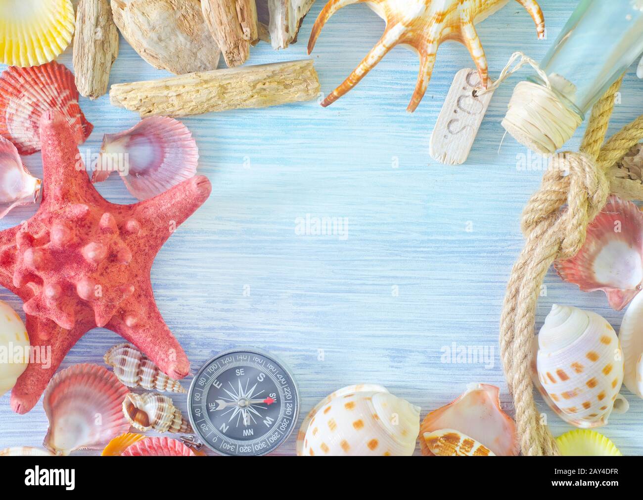 sea shells and compass Stock Photo - Alamy