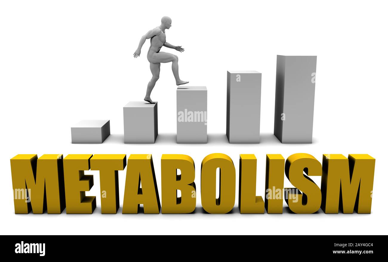 Metabolism process hi-res stock photography and images - Alamy