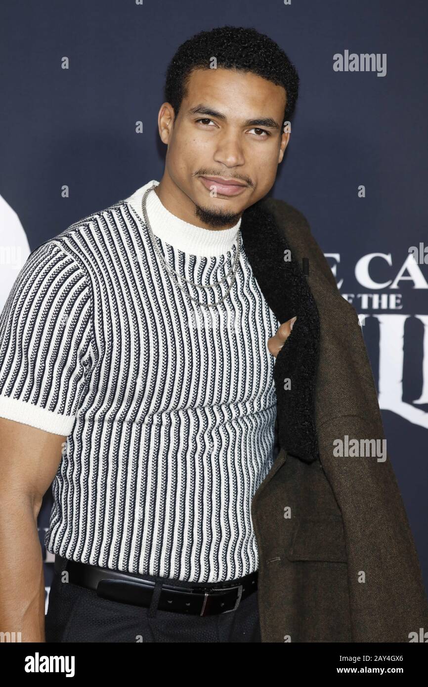 February 13, 2020, Los Angeles, CA, USA: LOS ANGELES - FEB 13: Greg ...