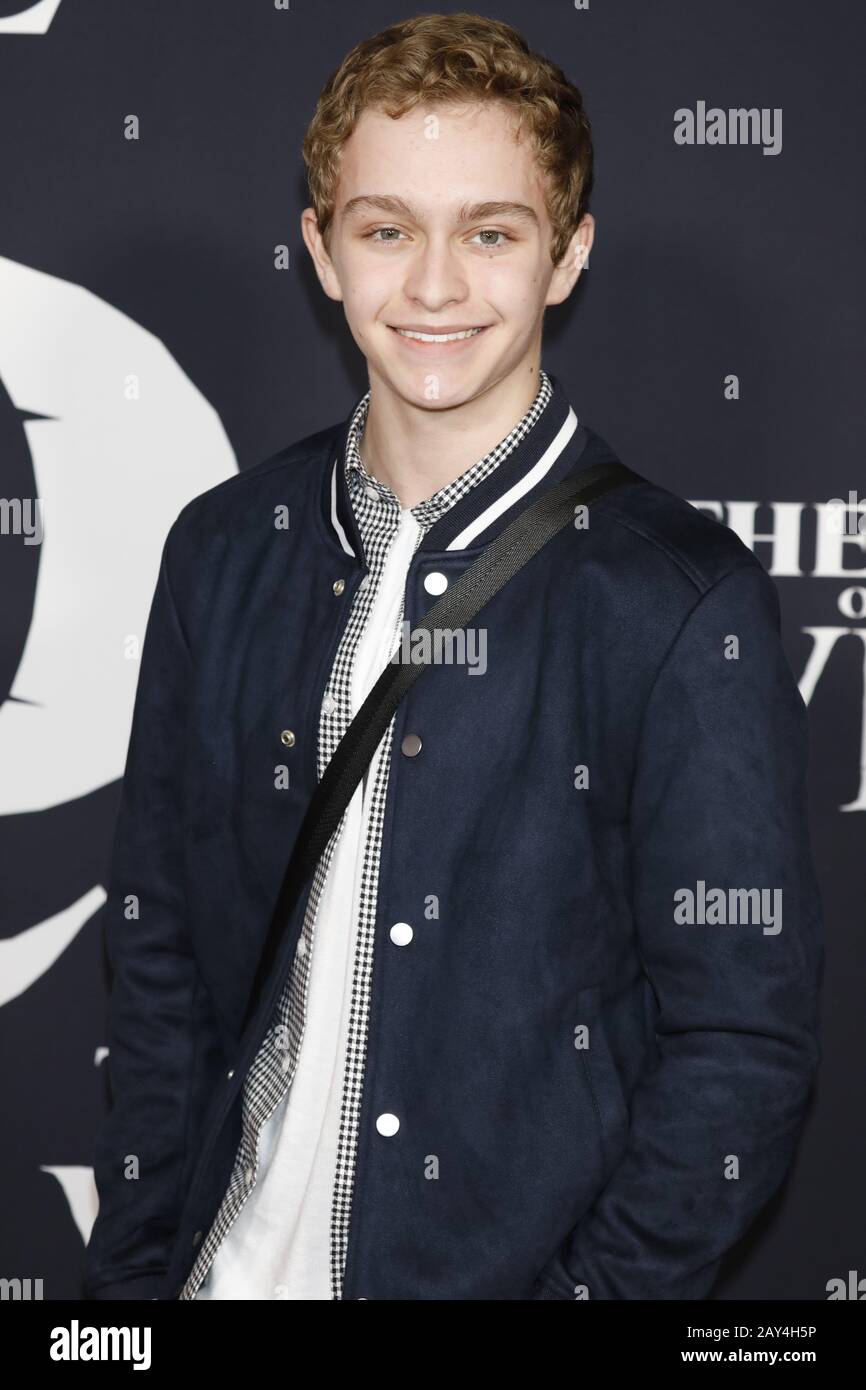 February 13, 2020, Los Angeles, CA, USA: LOS ANGELES - FEB 13: Gavin ...