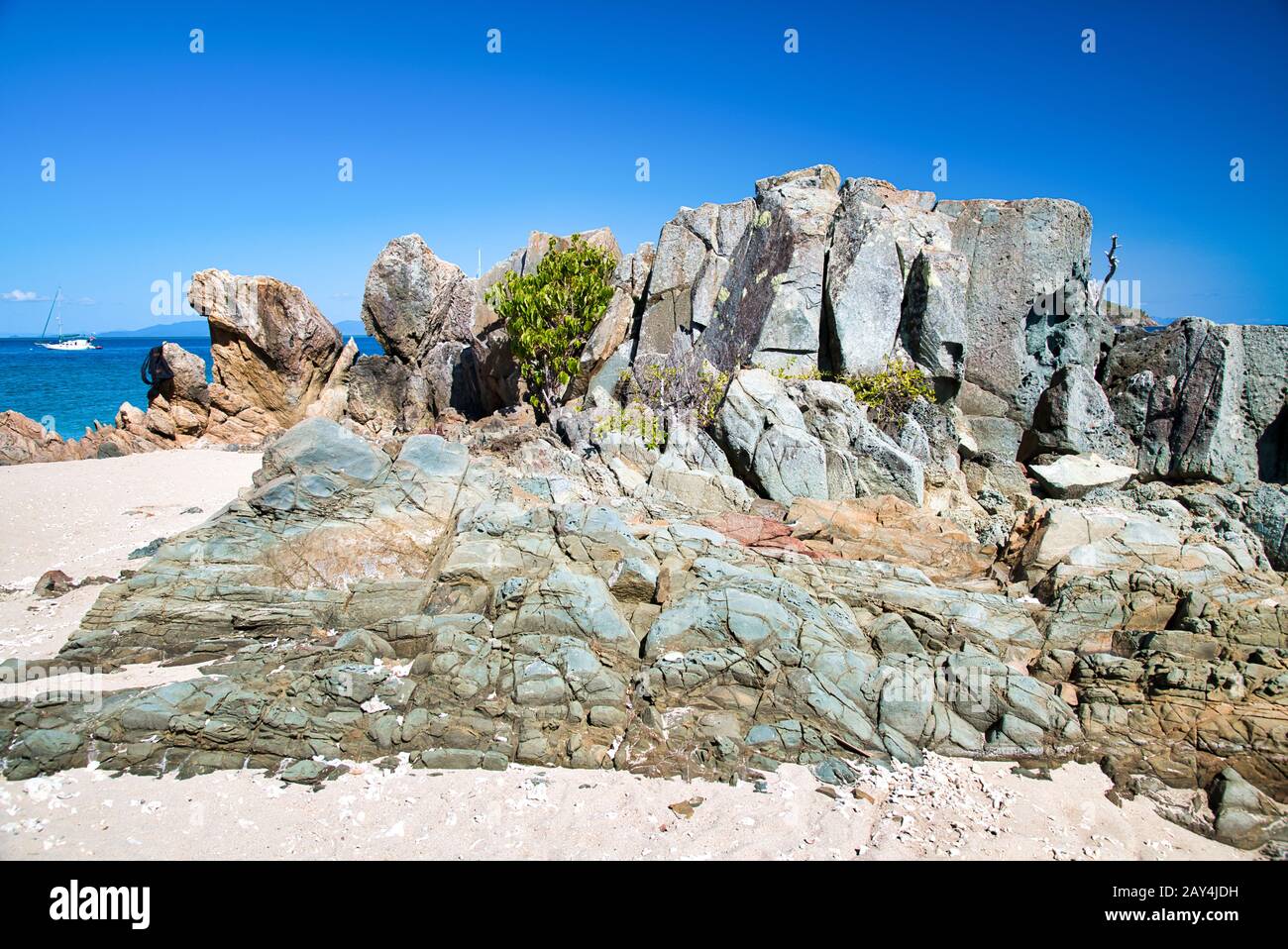Tropical island vegetation against blue sky Stock Photo - Alamy