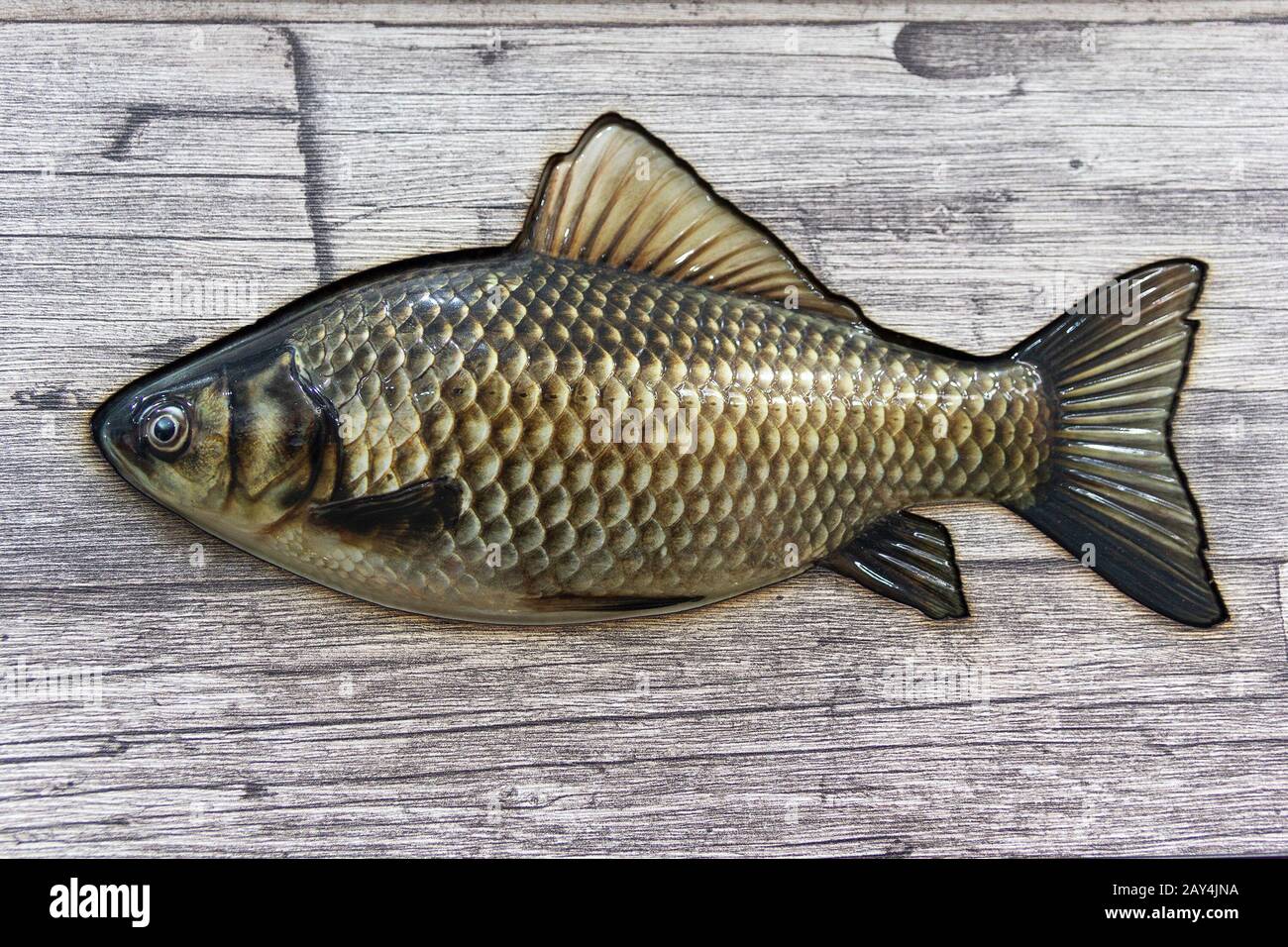 Fish head on wall hi-res stock photography and images - Alamy