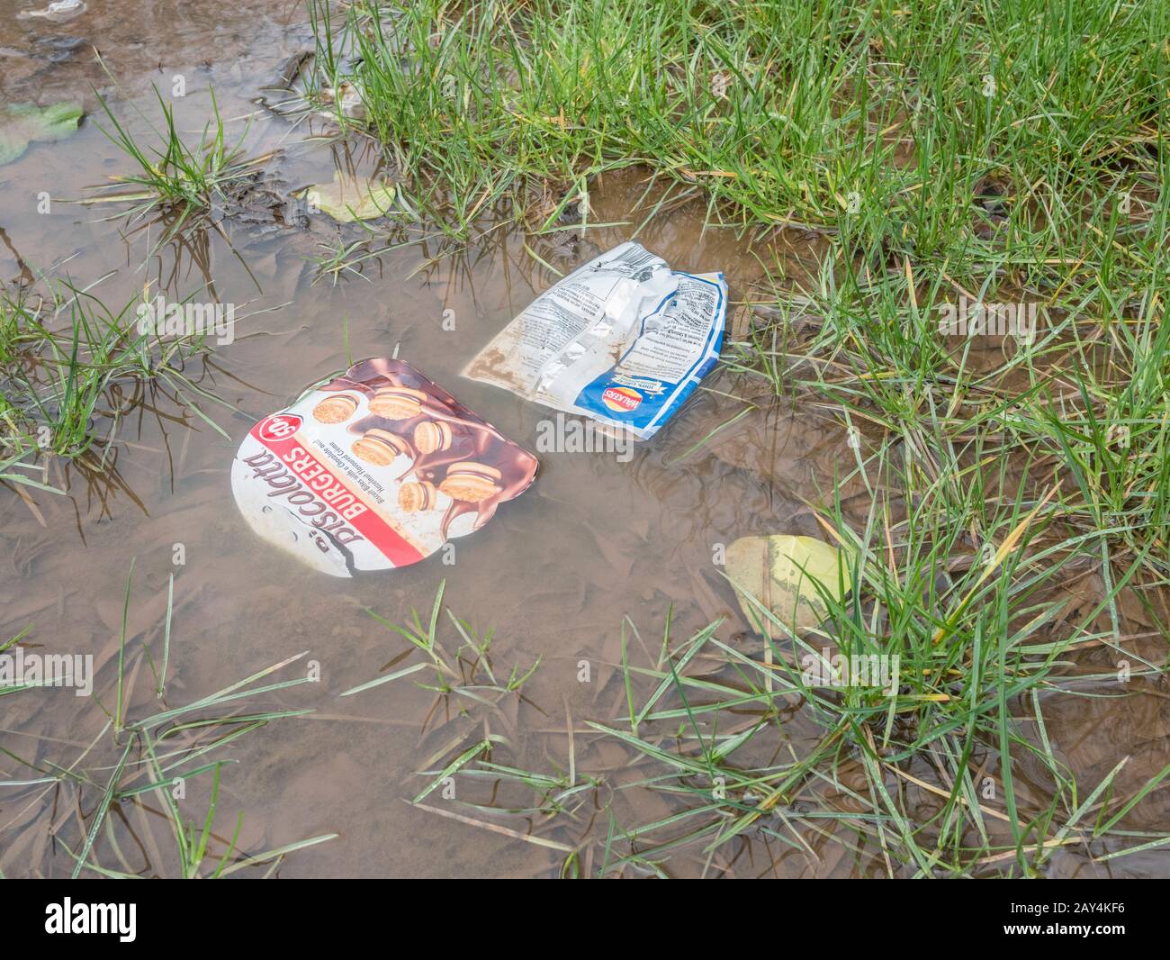Empty plastic food packaging floating in water puddle after heavy ...