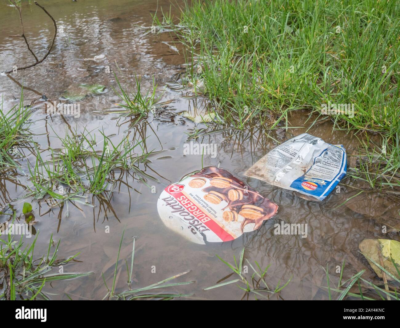 Empty plastic food packaging floating in water puddle after heavy ...