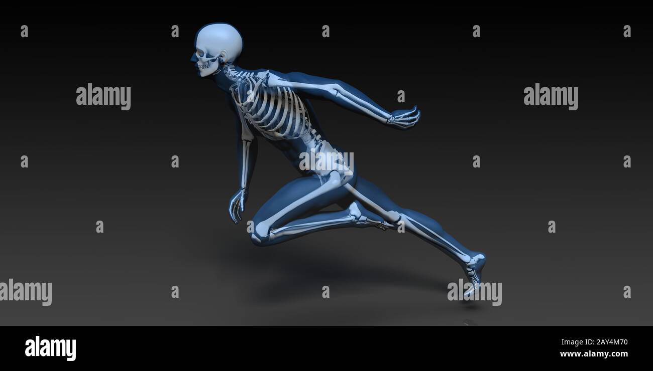 Medical Illustration of Human Body and Bones Stock Photo - Alamy