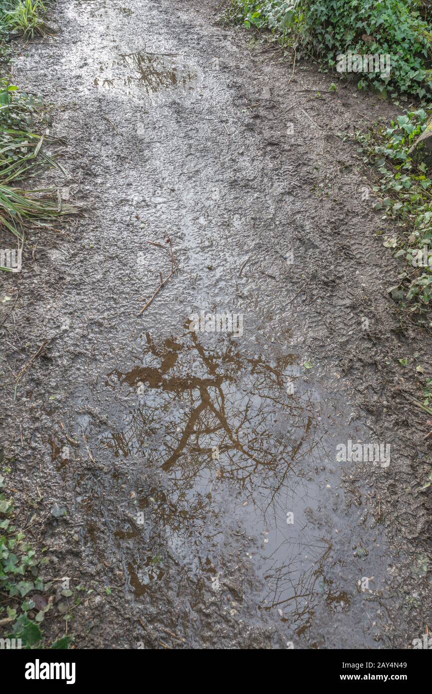 Bogged down metaphor hi-res stock photography and images - Alamy