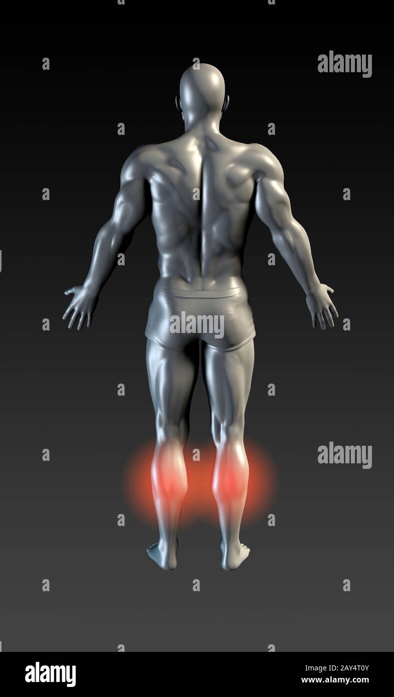 Calf calves muscle muscles hi-res stock photography and images - Alamy