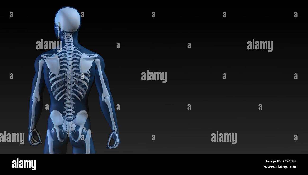 Transparent Human with Bone Structure Stock Photo - Alamy