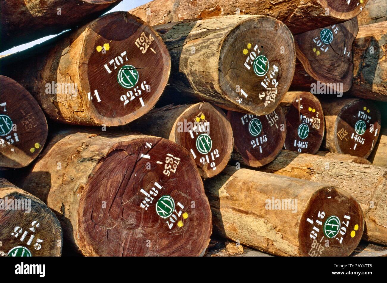 Pile of logs in a sawmill in Ghana, West Africa Stock Photo - Alamy