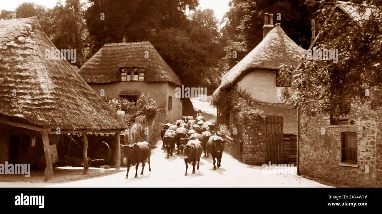 Cockington Forge and village, Victorian period Stock Photo - Alamy