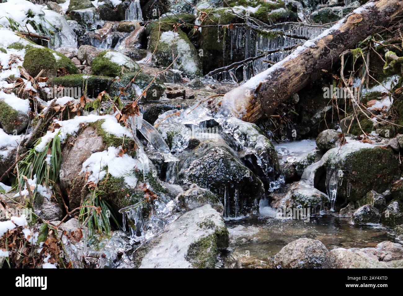 iced brook in the forest Stock Photo - Alamy