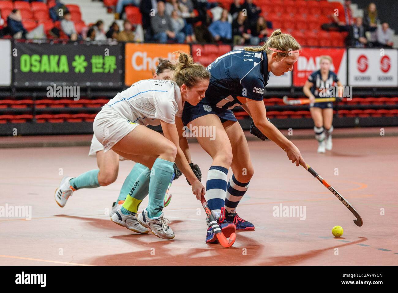 Den Haag, Netherlands. 14th Feb, 2020. Den Haag, 14-02-2020 ...