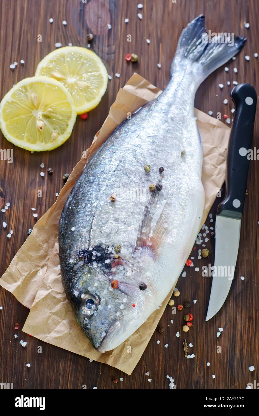 Freshwater fish european roach hi-res stock photography and images - Alamy