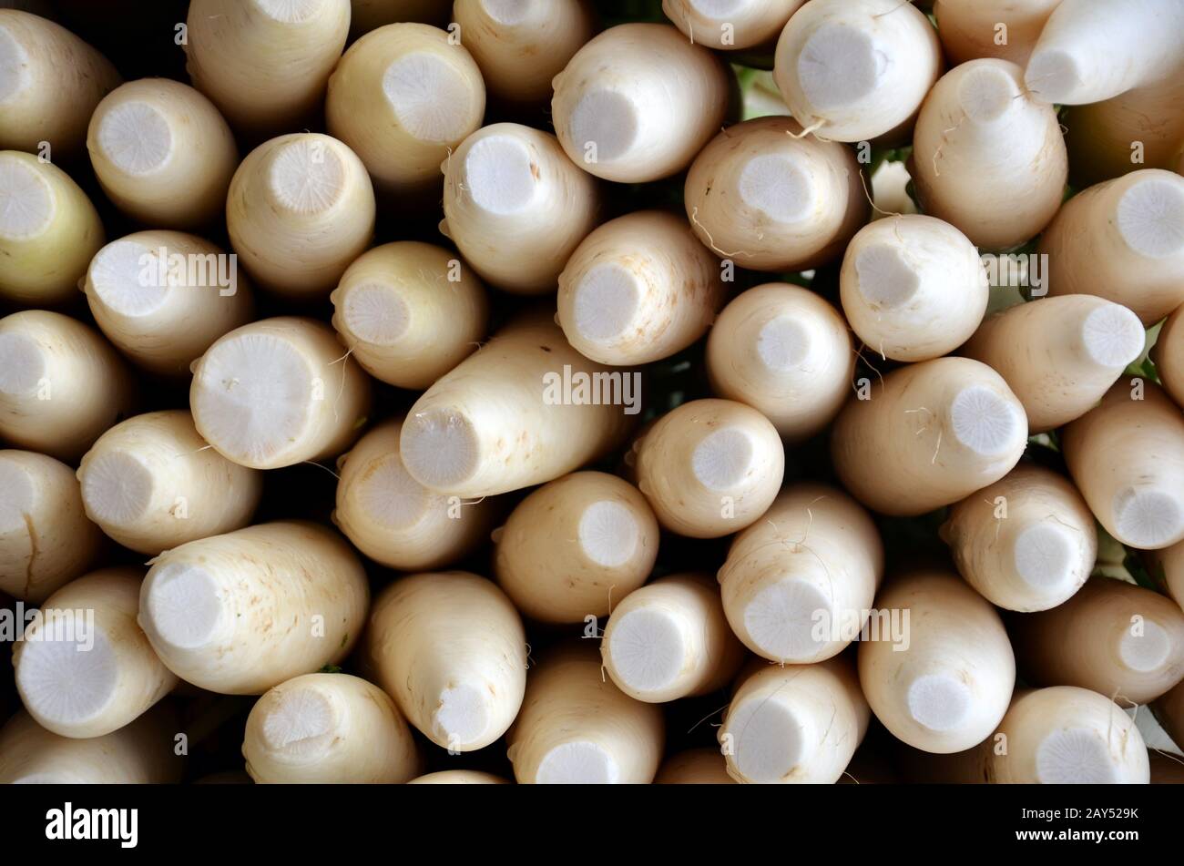 Indian white radishes Stock Photo - Alamy