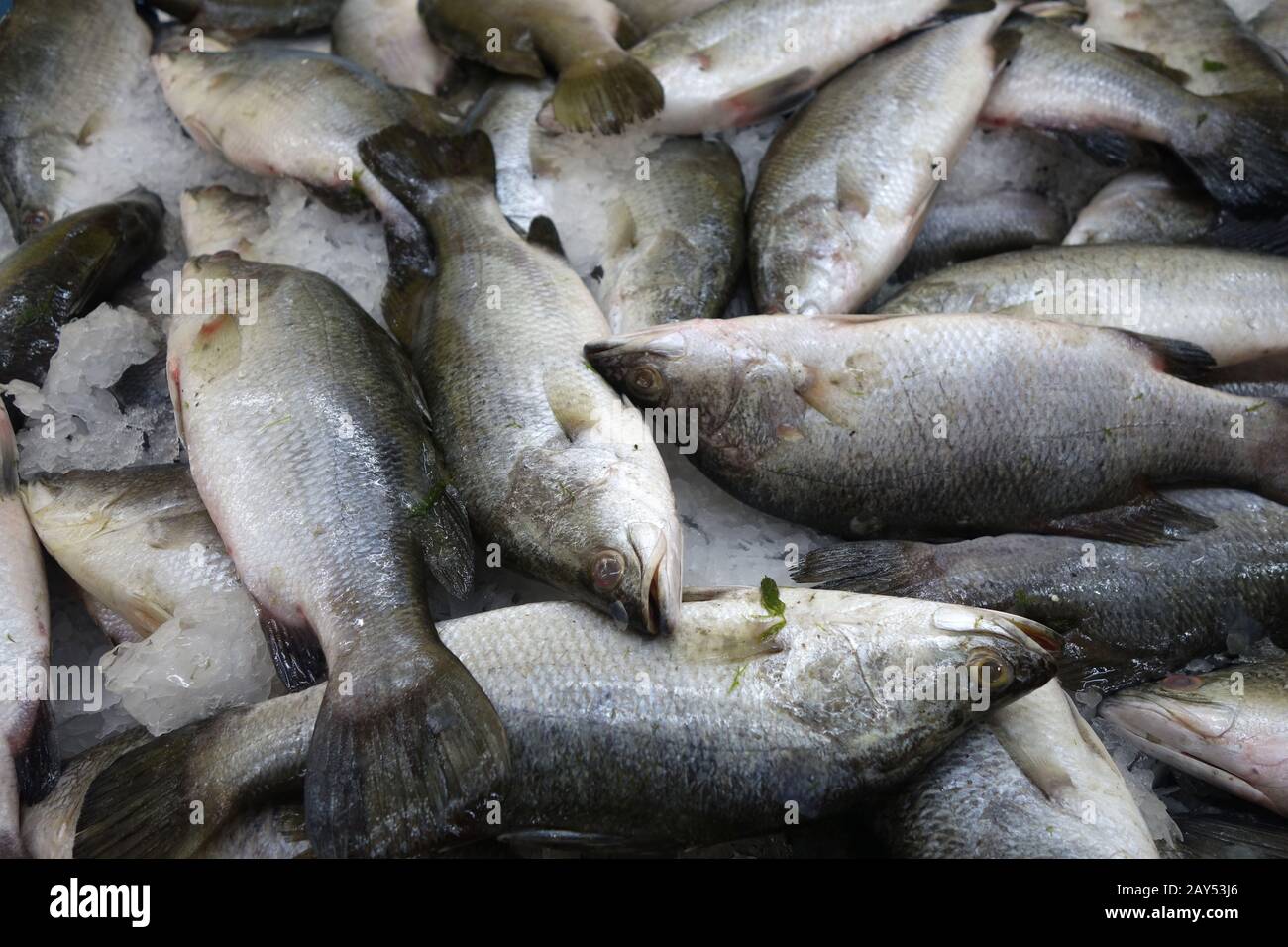 Milk fish hi-res stock photography and images - Alamy
