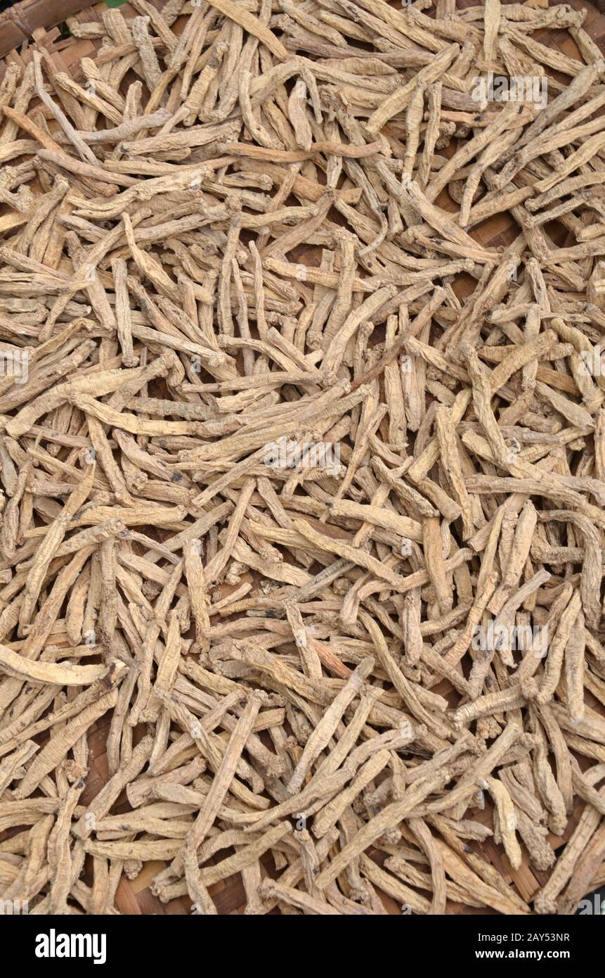 Dry Ginseng roots Stock Photo - Alamy