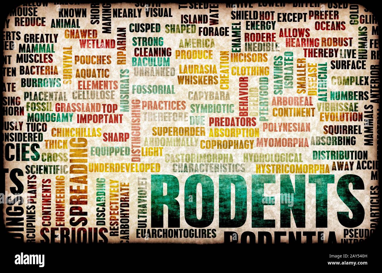 Group of rodents hi-res stock photography and images - Alamy