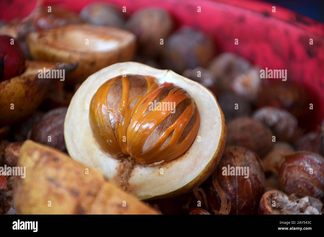 Nutmeg fruit hi-res stock photography and images - Alamy