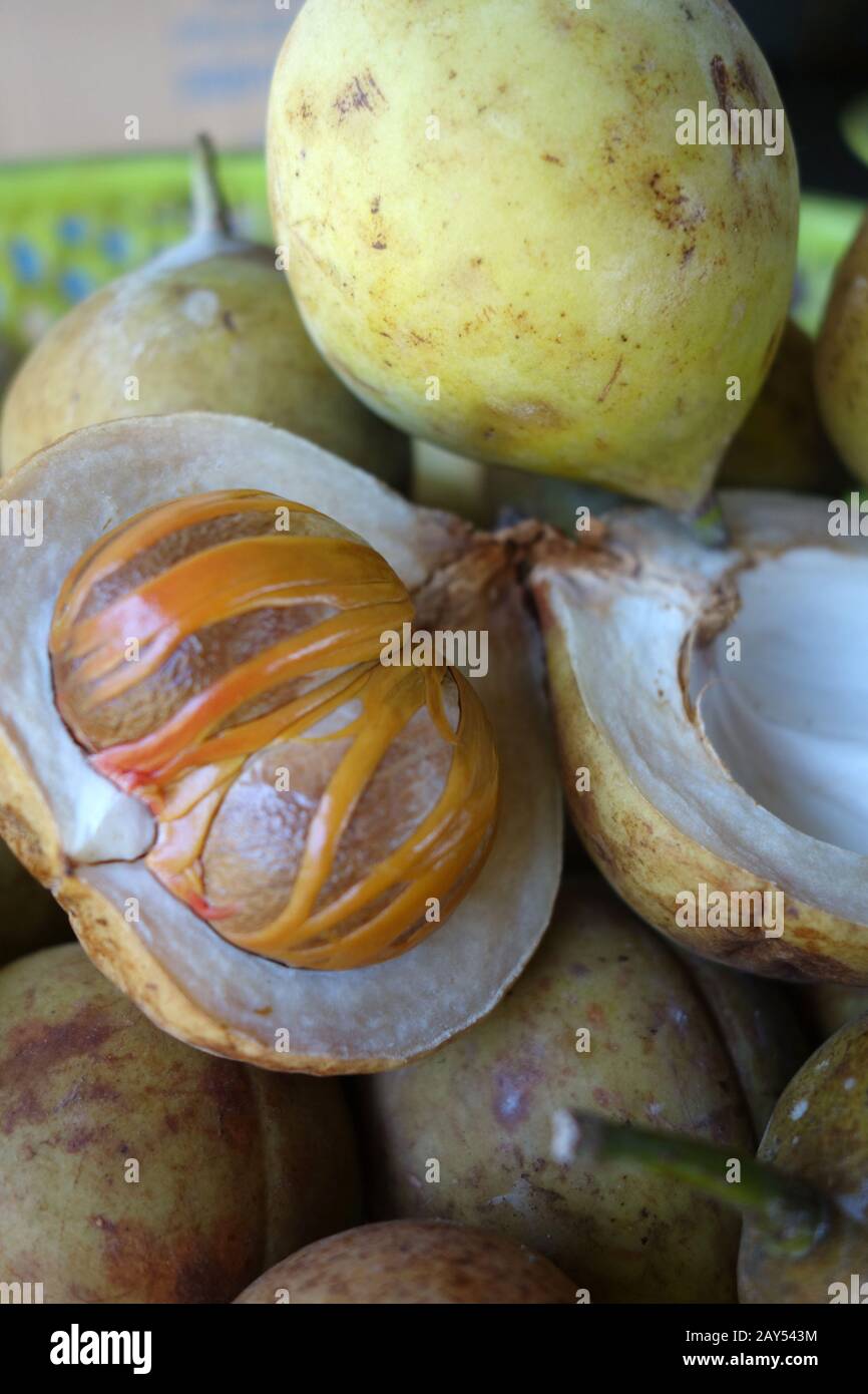 Colorful photo of Nutmeg fruit Stock Photo - Alamy