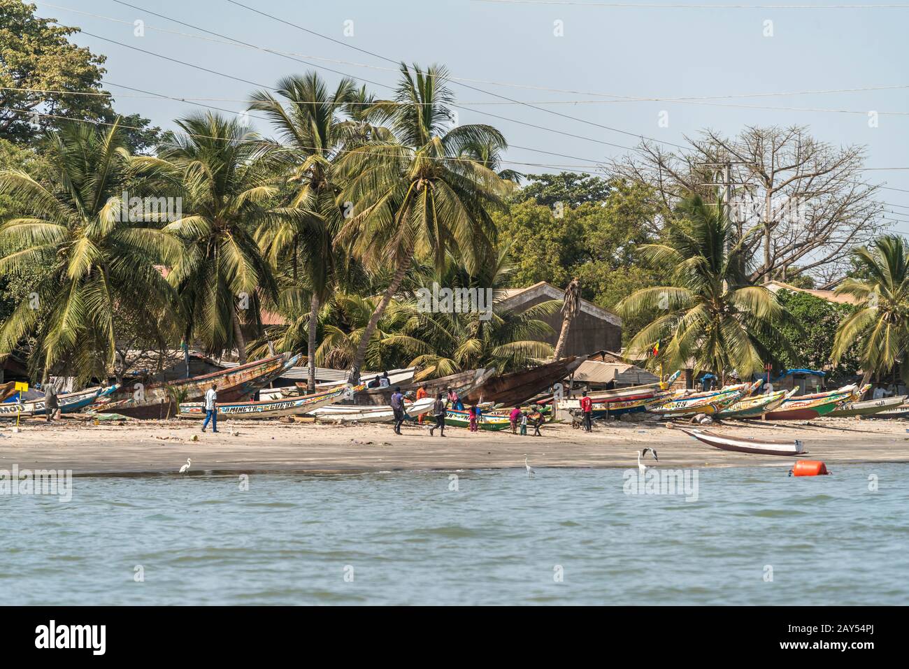 Kokospalmen und Fischerboote am Strand der Hauptstadt Banjul, Gambia ...