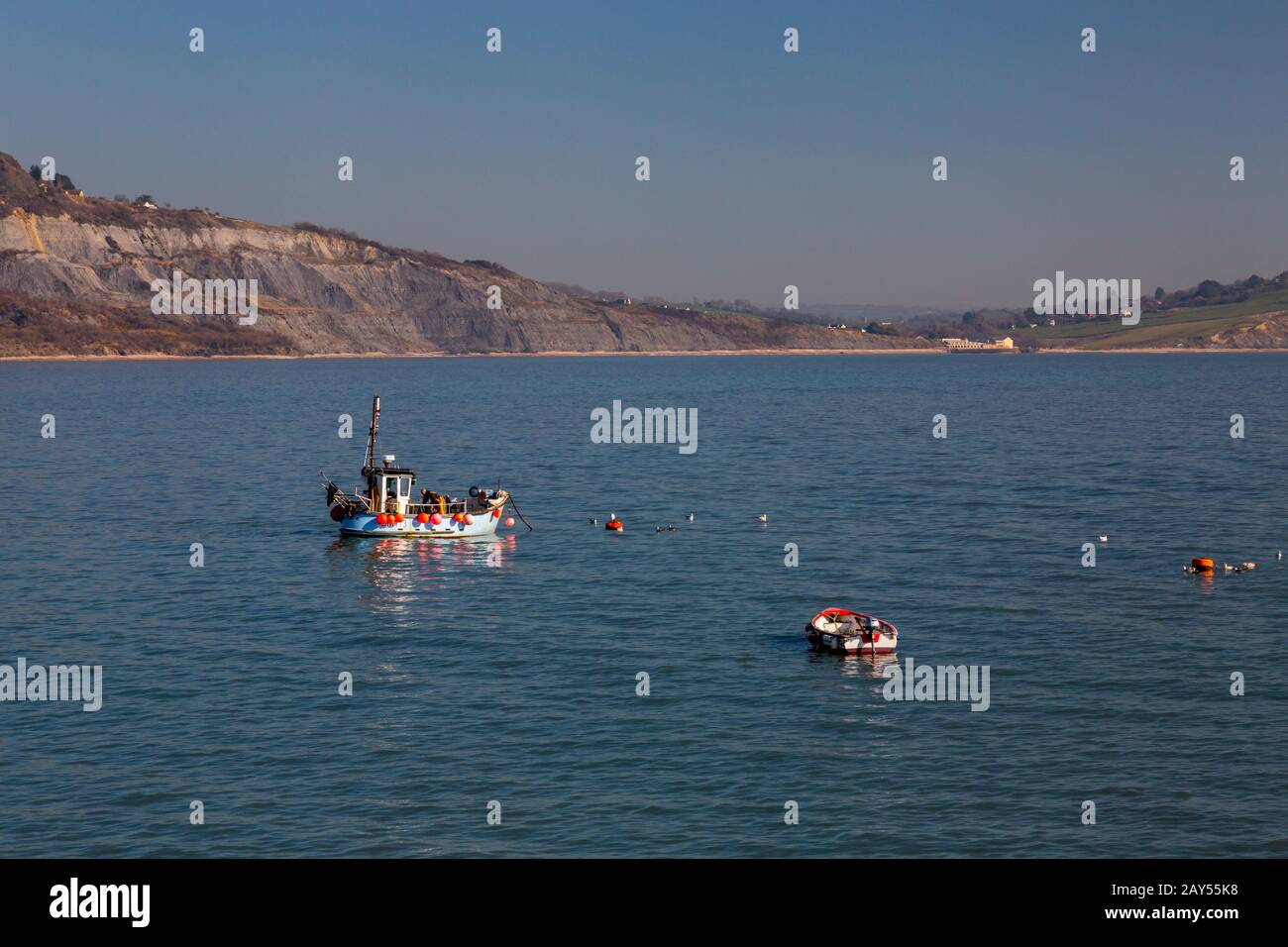 A fishing boat in Lyme Bay on the Jurassic Coast with Black Venn cliffs ...