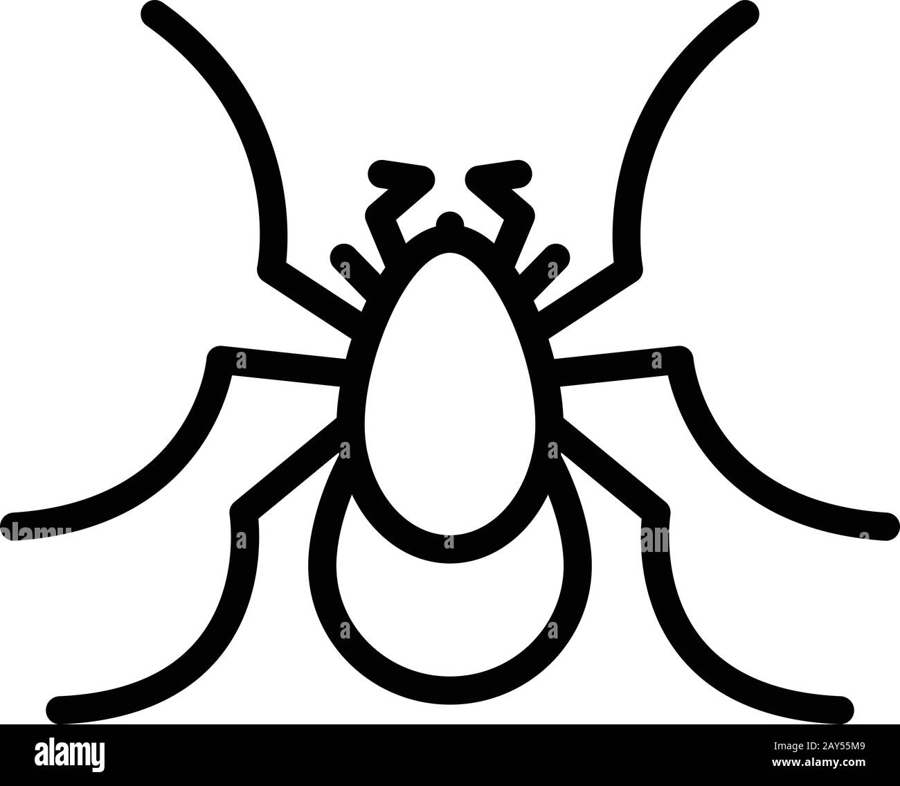 Tree cricket insect Cut Out Stock Images & Pictures - Alamy