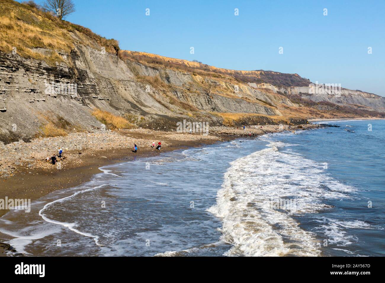 Assorted fossil hunters on the beach below the unstable Black Venn ...