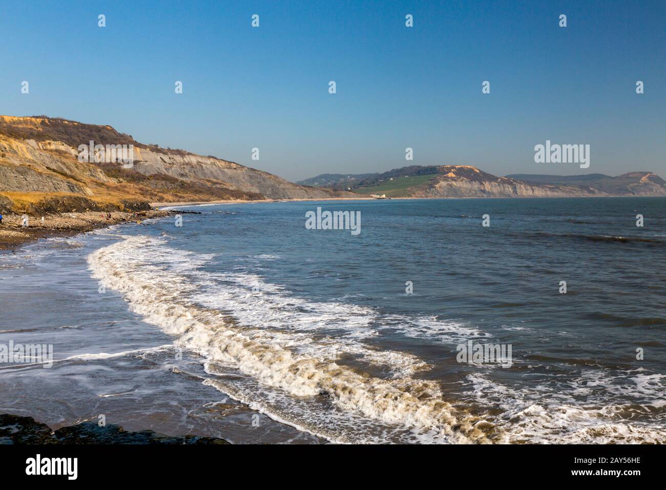 Assorted fossil hunters on the beach below the unstable Black Venn ...