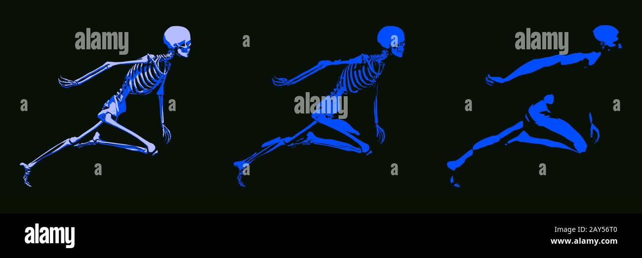 Human muscle moving anatomy hi-res stock photography and images - Alamy