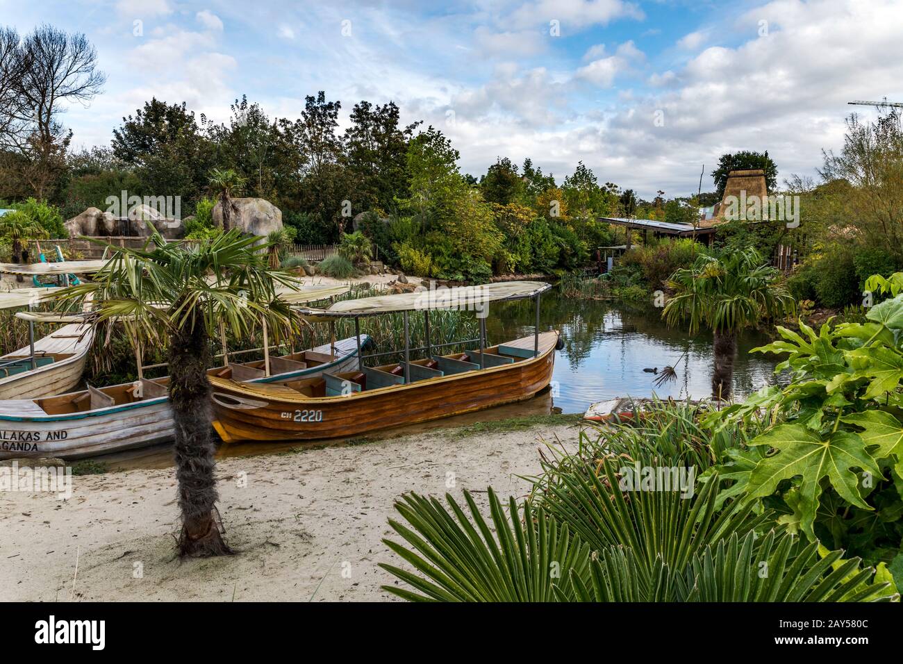 Chester zoo hi-res stock photography and images - Alamy