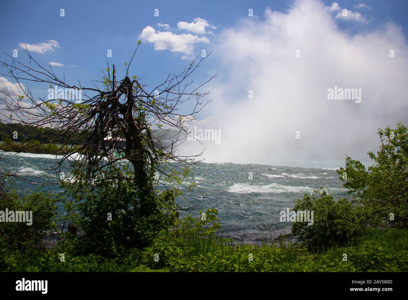 Niagara Falls, broken tree Stock Photo - Alamy