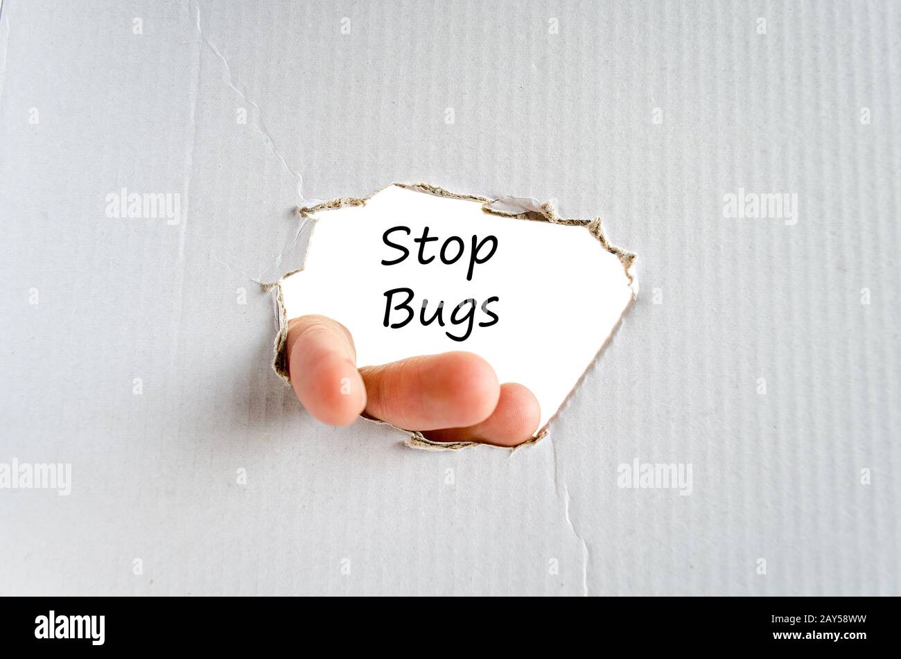 Stop bugs text concept Stock Photo - Alamy