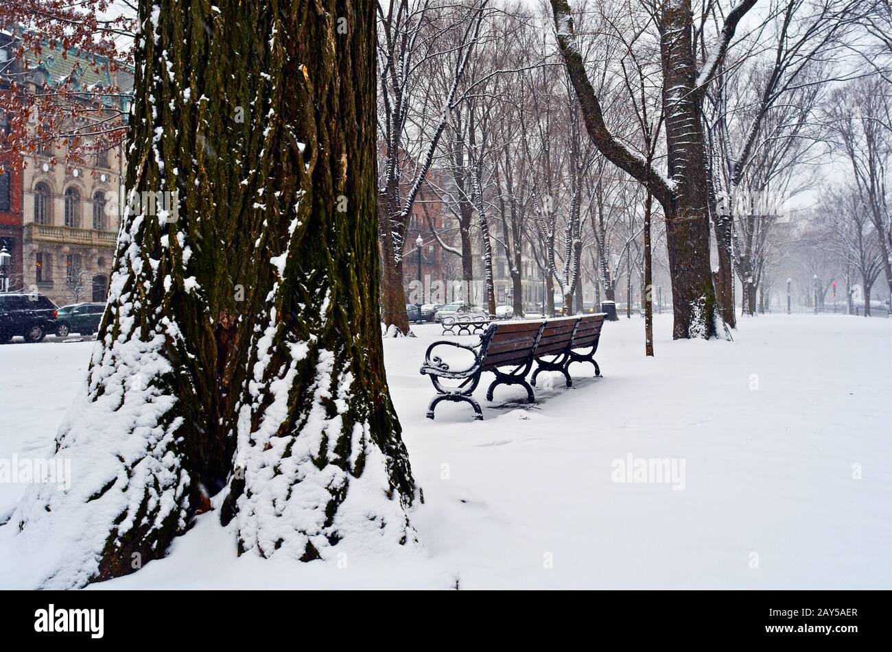 Winter Snow In Back Bay Boston Stock Photo - Alamy