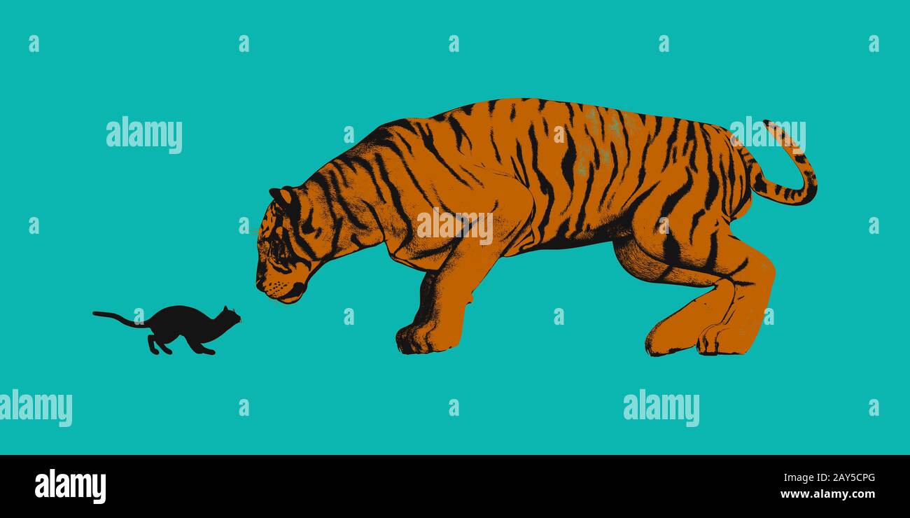 Cat Versus Tiger Stock Photo - Alamy